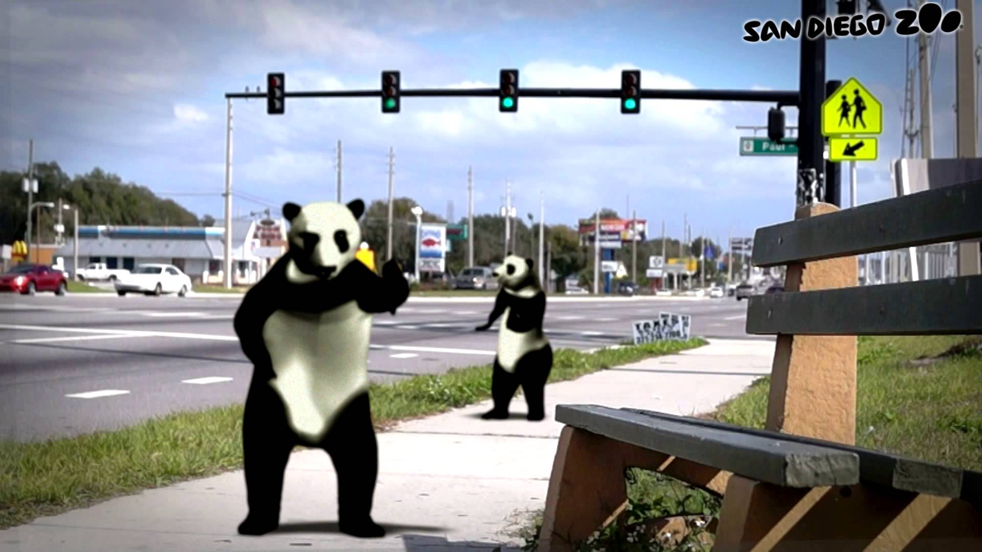 Dancing Panda: 3d Animation Commercial