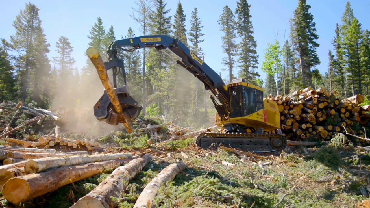 Harvester Tigercat LH855D Roadside Processing