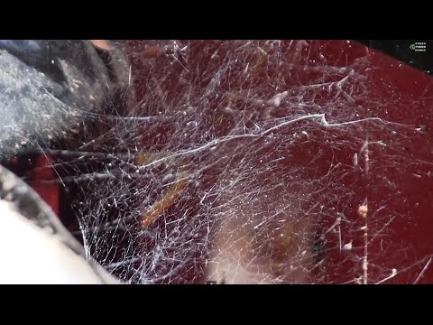 DIY special effects COBWEBS from repurposed Styrofoam DIY Realistic ...