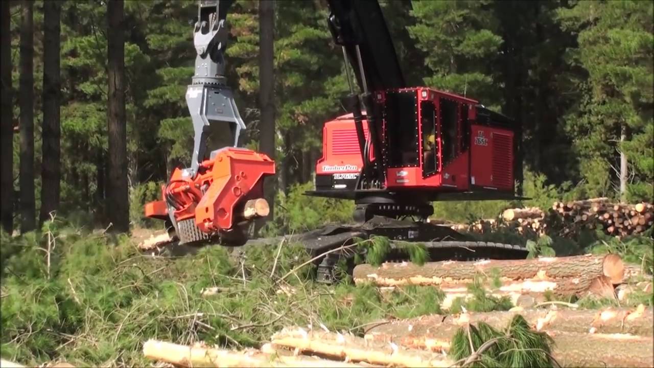 Track Harvester TimberPro TL765 C with Woodsman