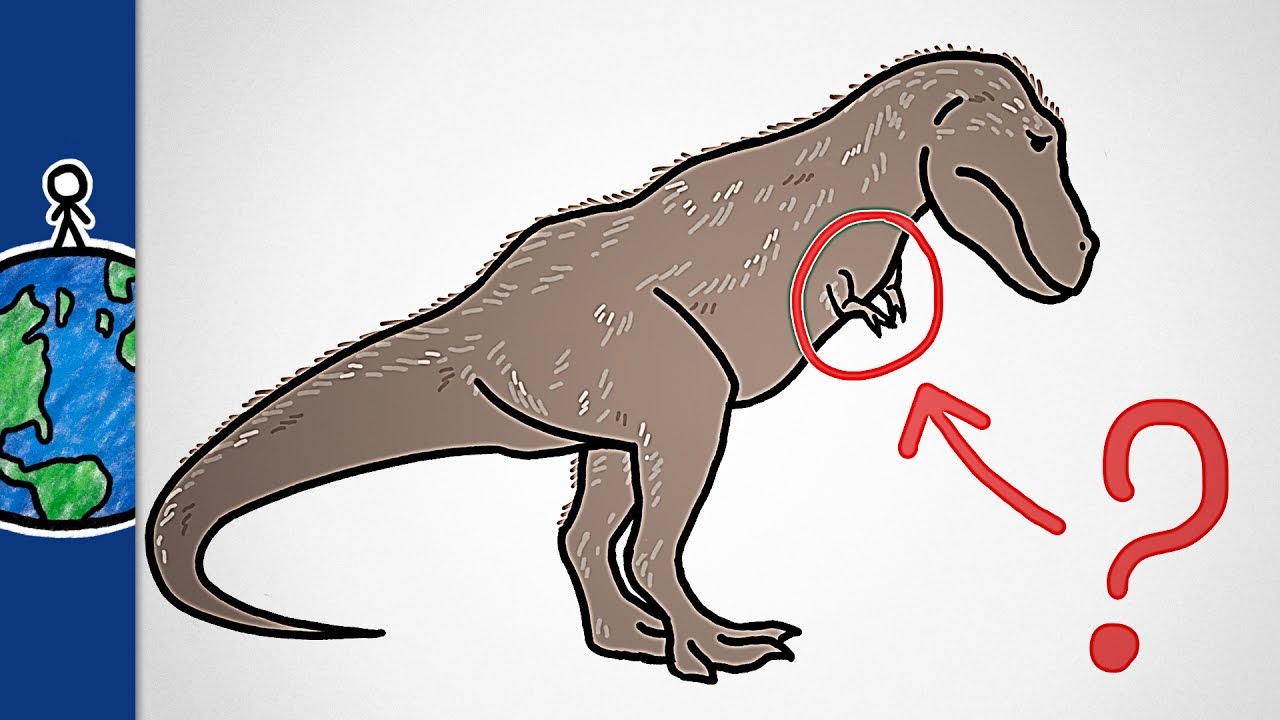 Why Did T Rex Have Such Tiny Arms? Why Did T Rex Have Such Tiny Arms?