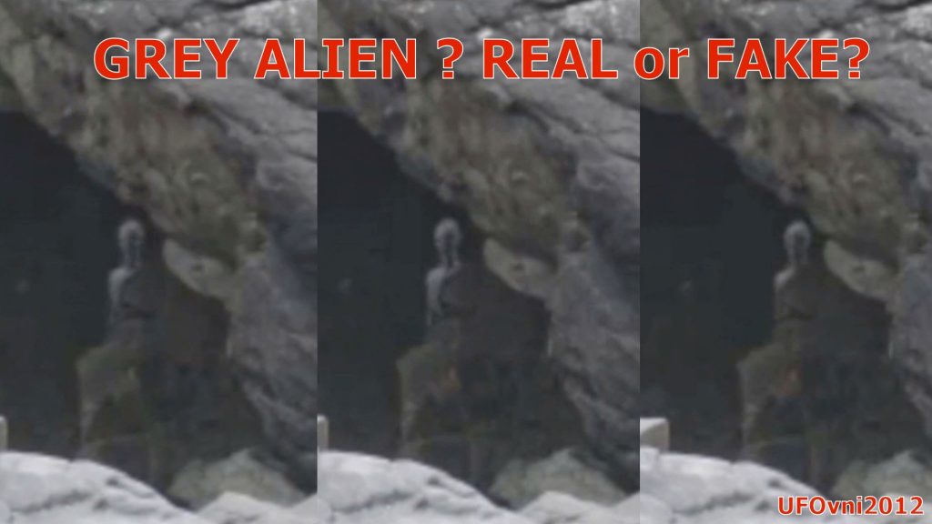Grey Alien Filmed Hidden In The Rock in Machu Picchu, Peru ? Real or Fake?
