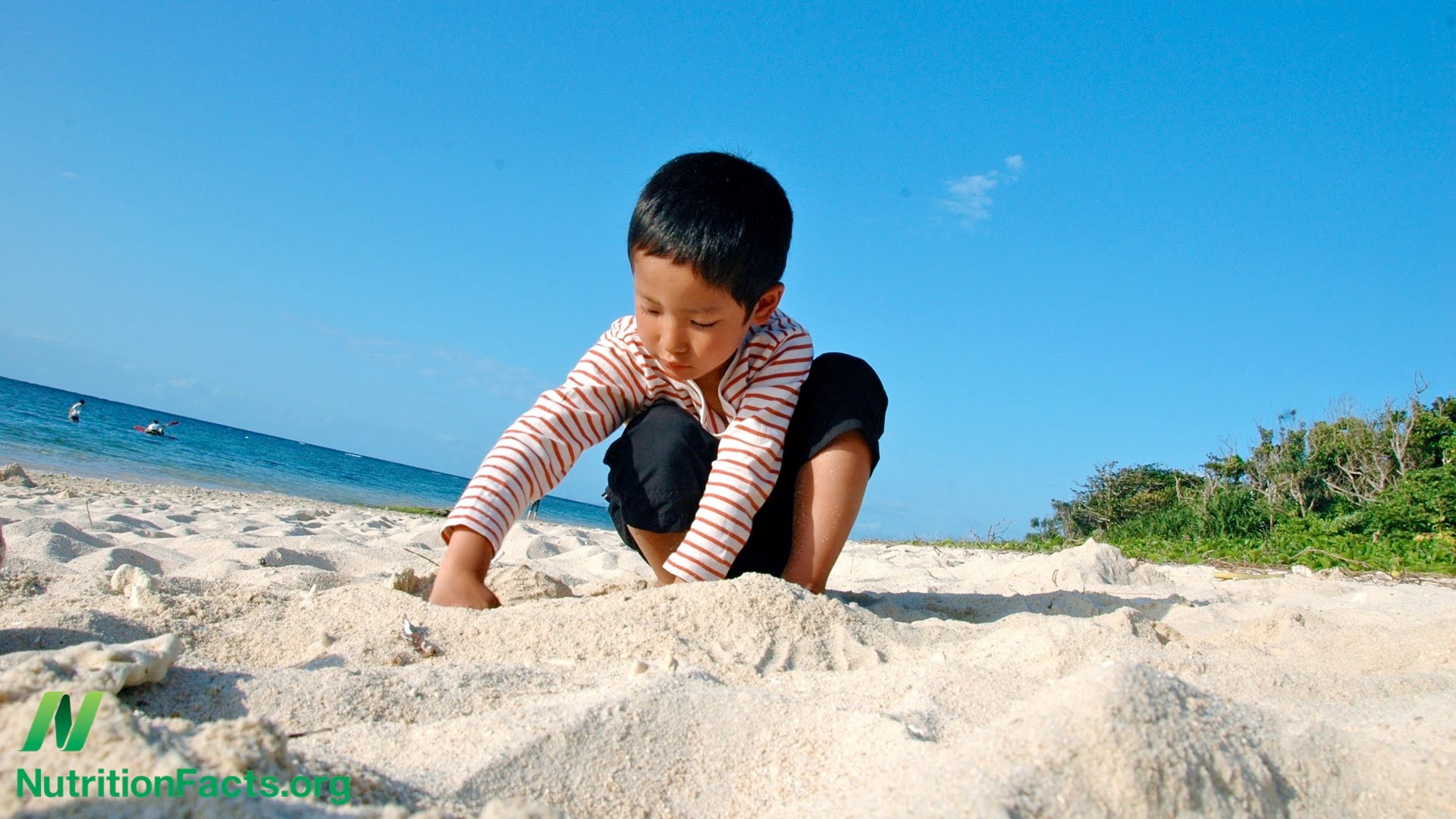 The Okinawa Diet Living To 100