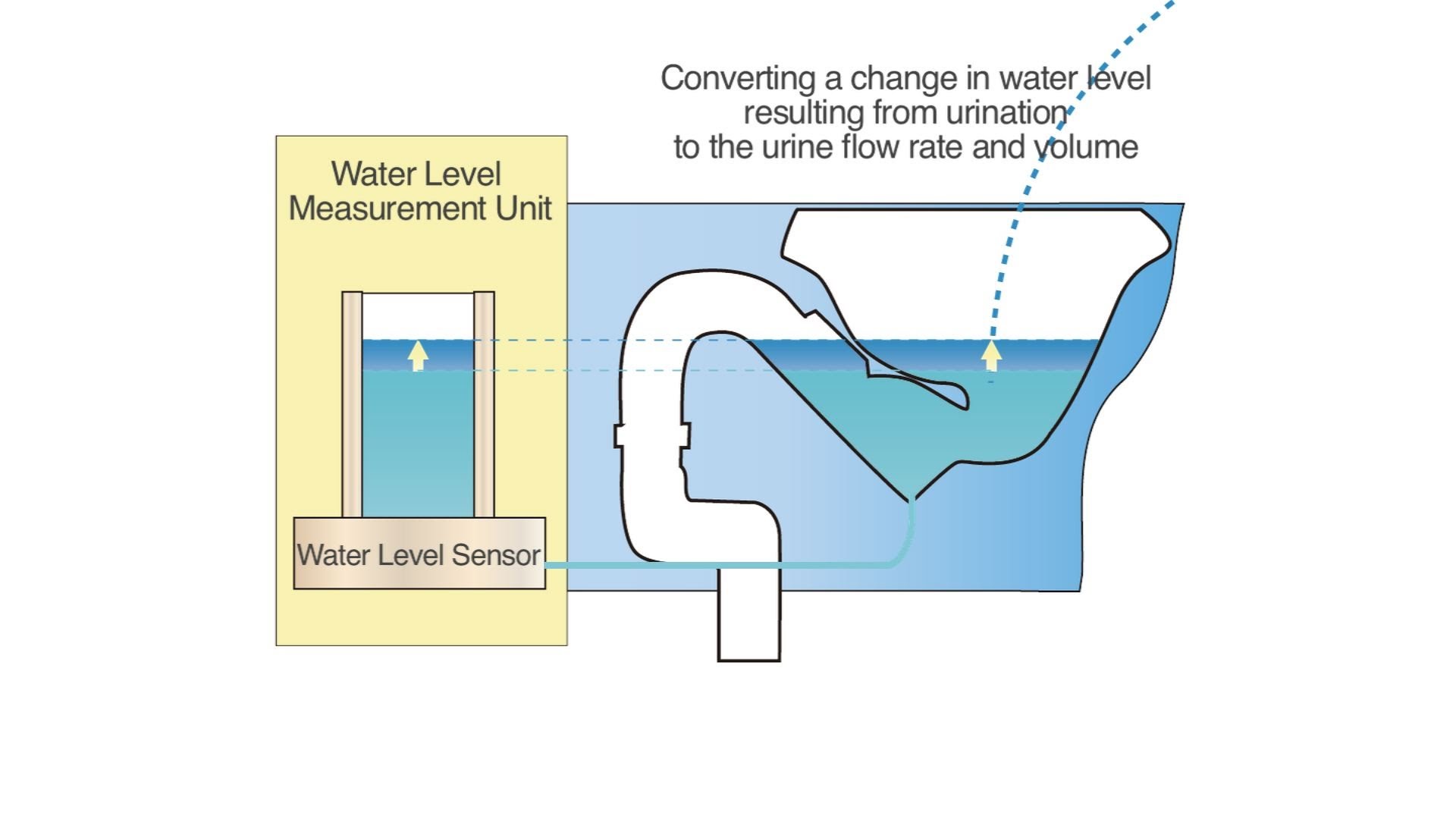 Uroflowmeter Measures Urine Volume Simply by Using Toilet #DigInfo