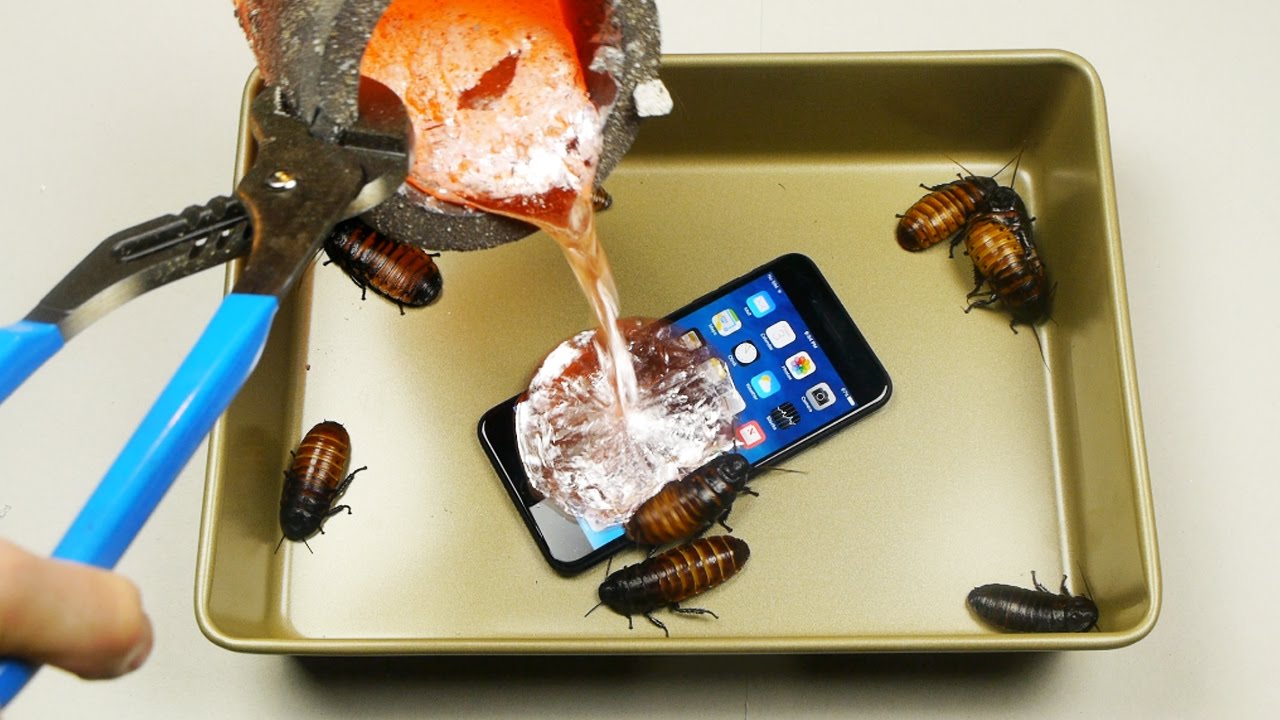 Casting Cockroaches + iPhone 7 Plus in Molten Aluminum!