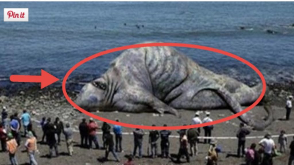 watch 8 images of dead sea monsters that shook the world