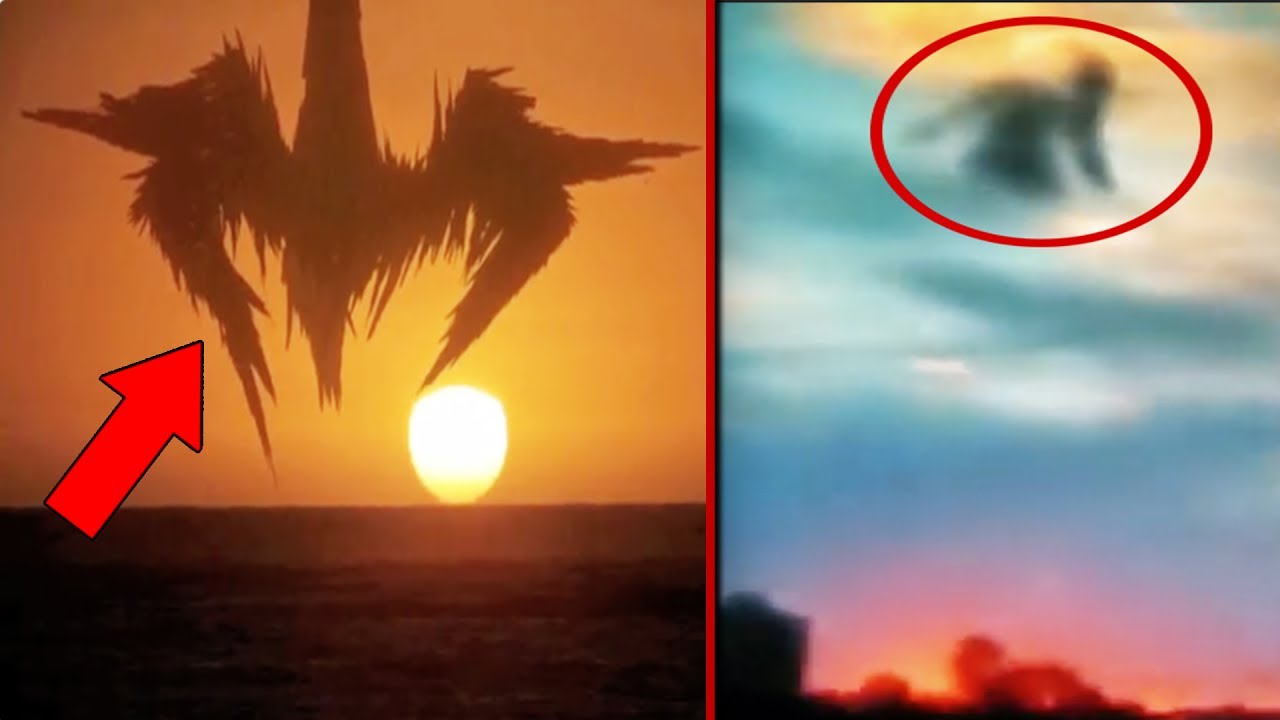 5 Unidentified Flying Creatures Caught On Camera!