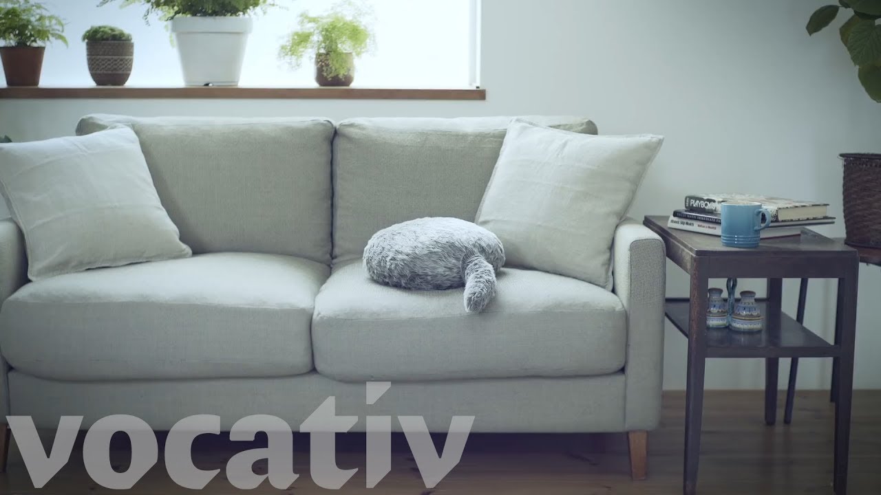 Qoobo: The Headless Furry Robot Cat You Never Knew You Needed